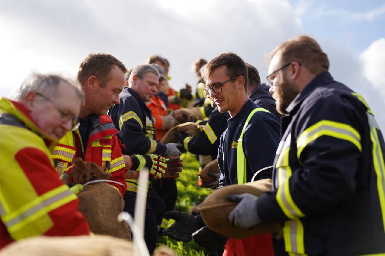 Einsatz für die Deiche an der Elbe - Lüneburg Aktuell