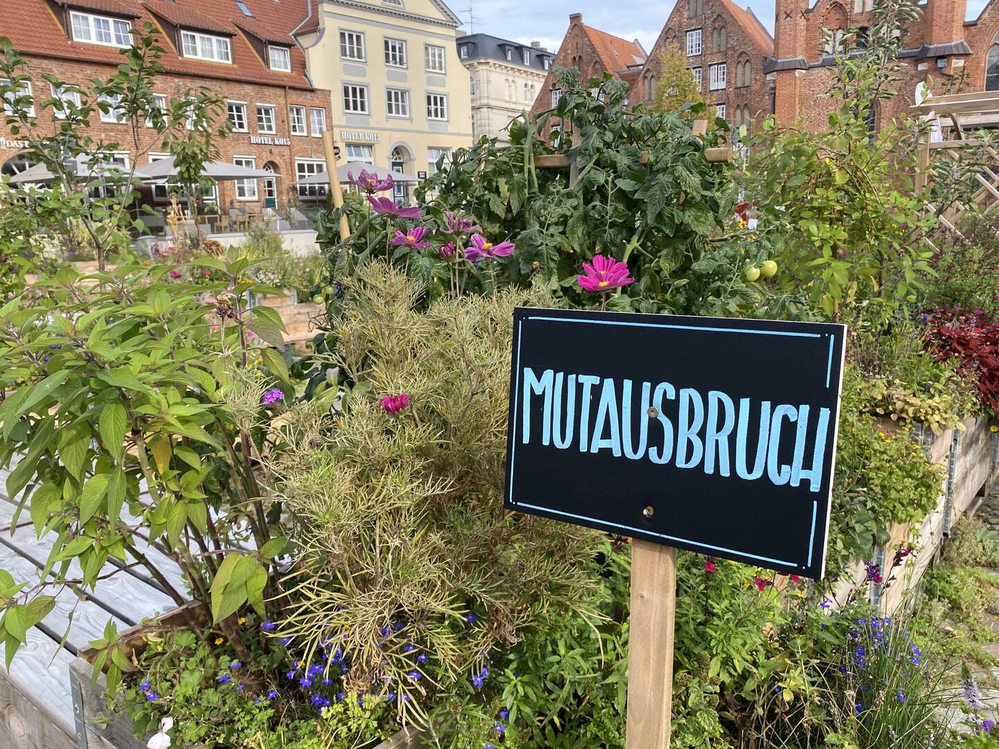 Mutausbruch — Simone Gerwers weiß, wie es geht - Lüneburg Aktuell